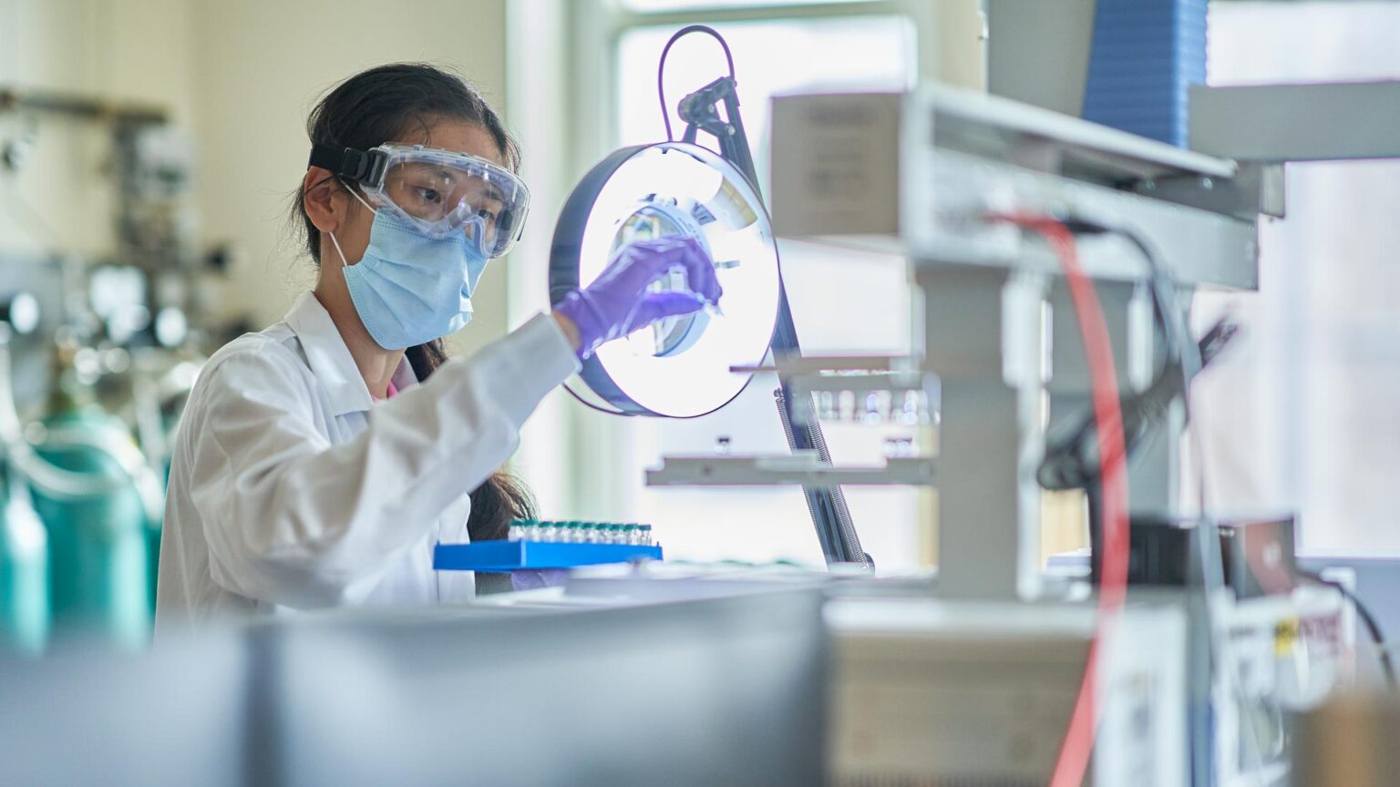 Programs - Center for the Environment