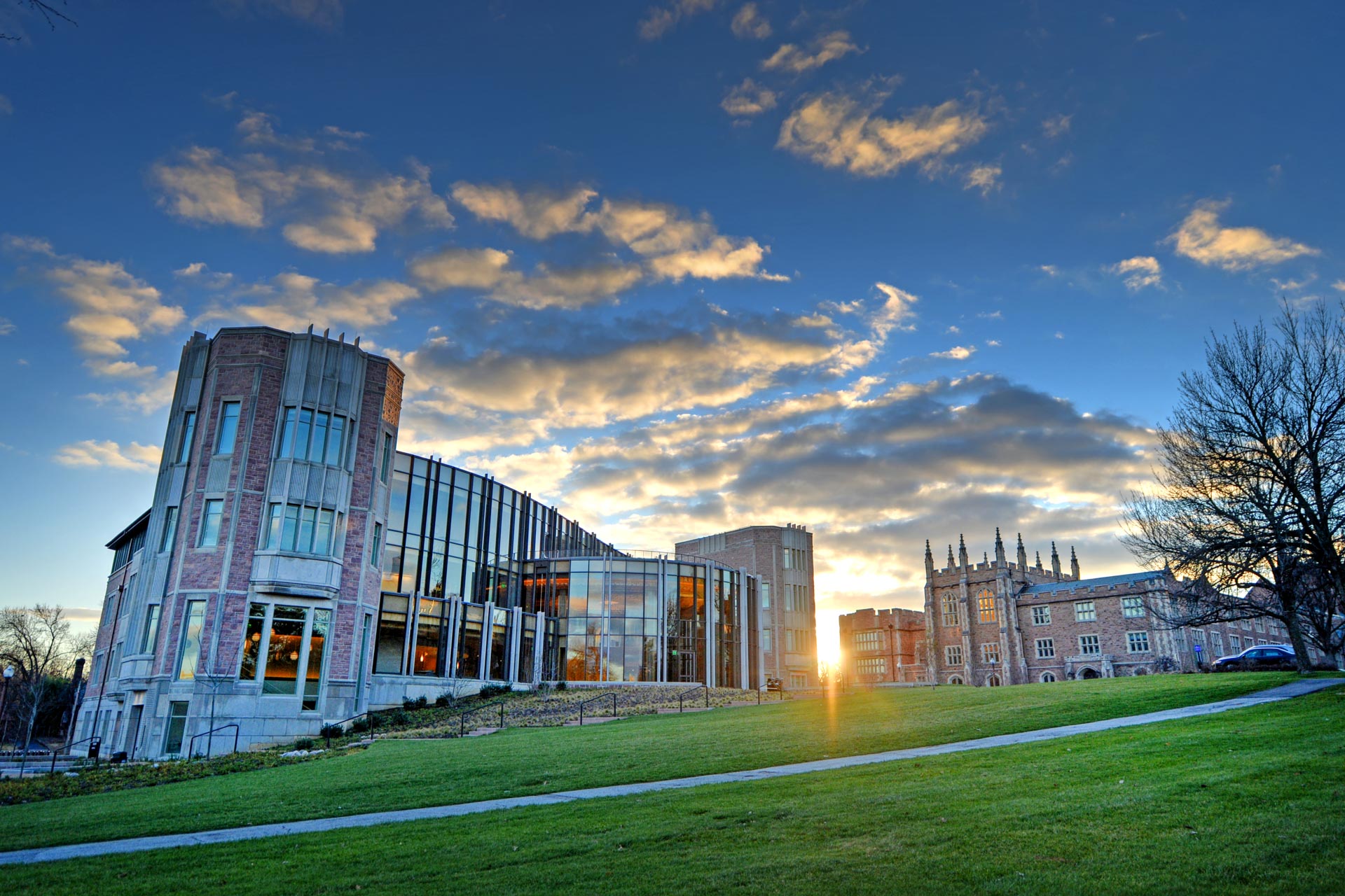 WashU Ecosystem Archives - Center for the Environment