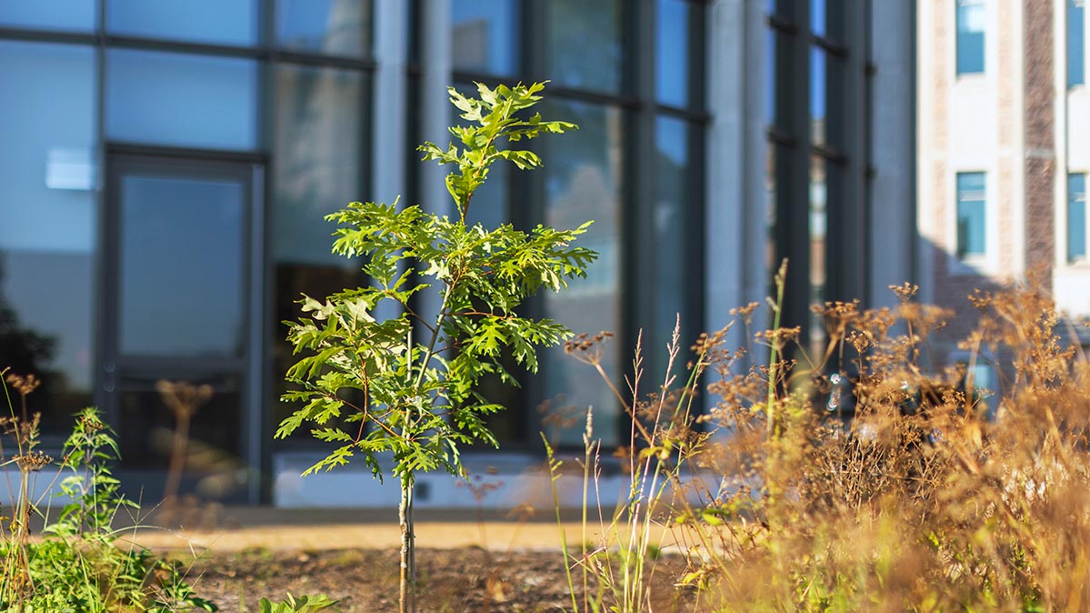 Connect - Center for the Environment