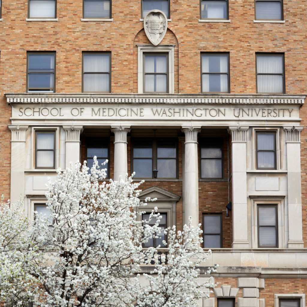 Sustainable Innovations in Research – WashU School of Medicine ...