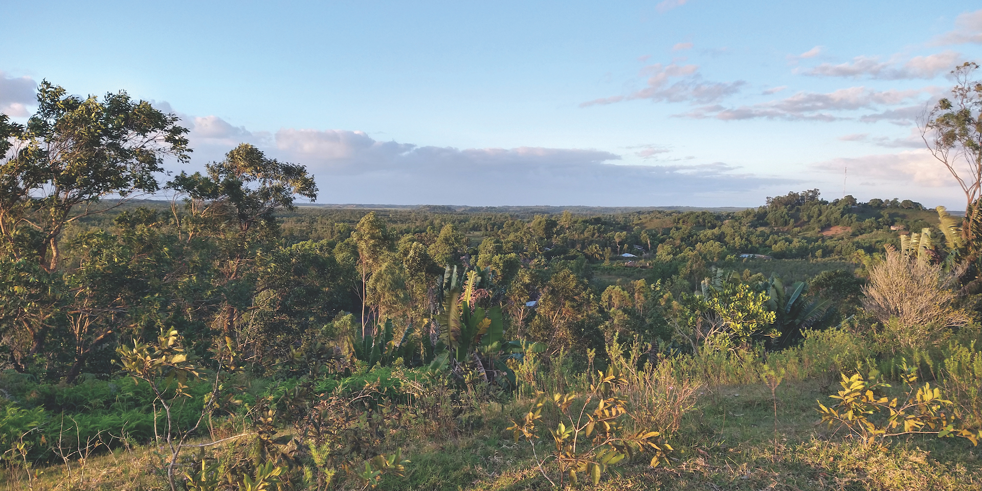 Home - Center for the Environment